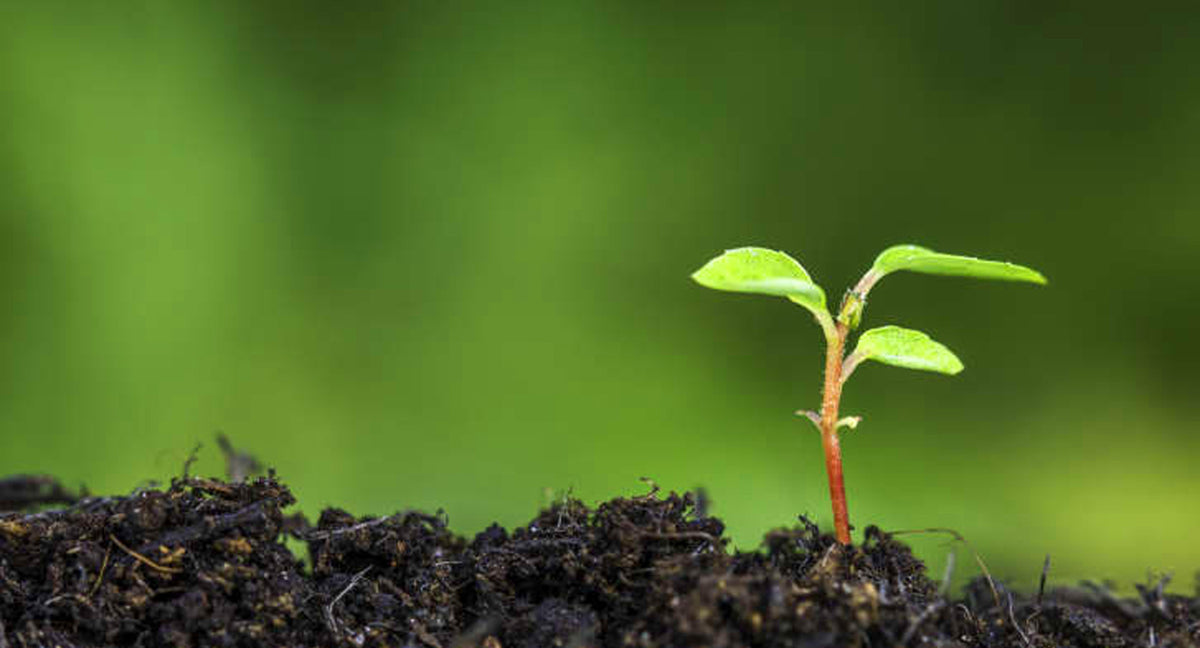 High Grade Organic Plant Nutrients, Biostimulants & Biologicals