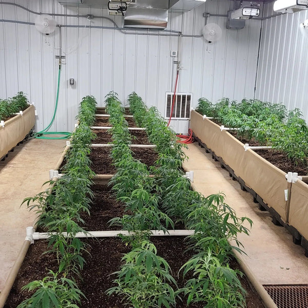 Living Soils - organic - Terra Biotics