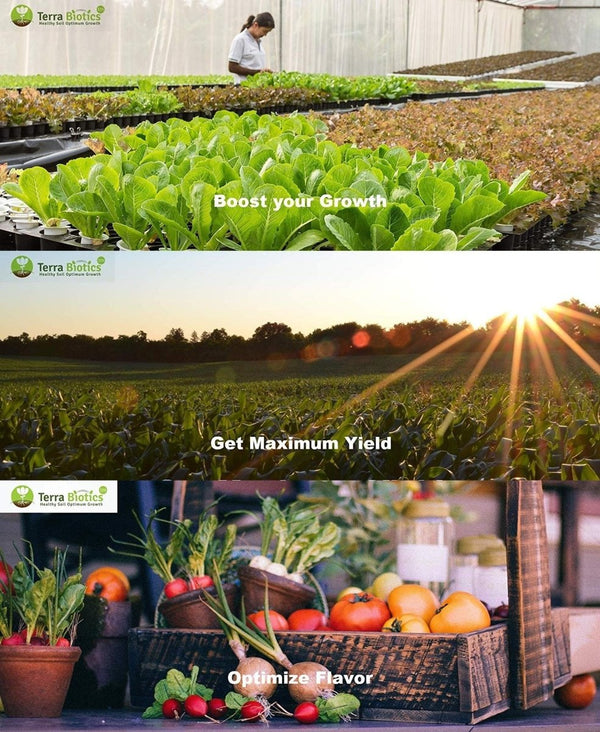 Starter Growth Kit - Terra Biotics