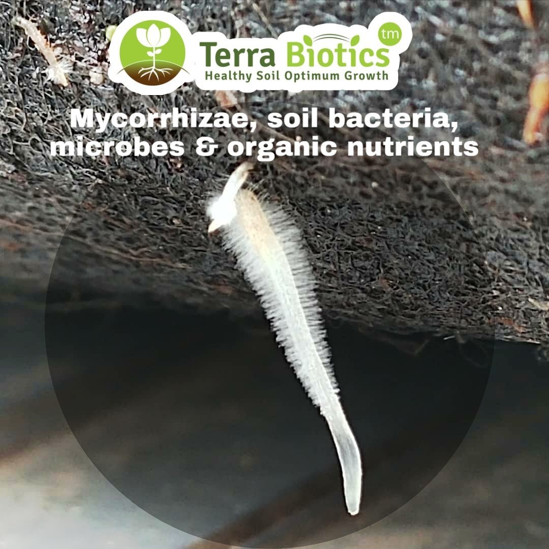 Ultra-Bio Boost (Biological supplement) - Terra Biotics